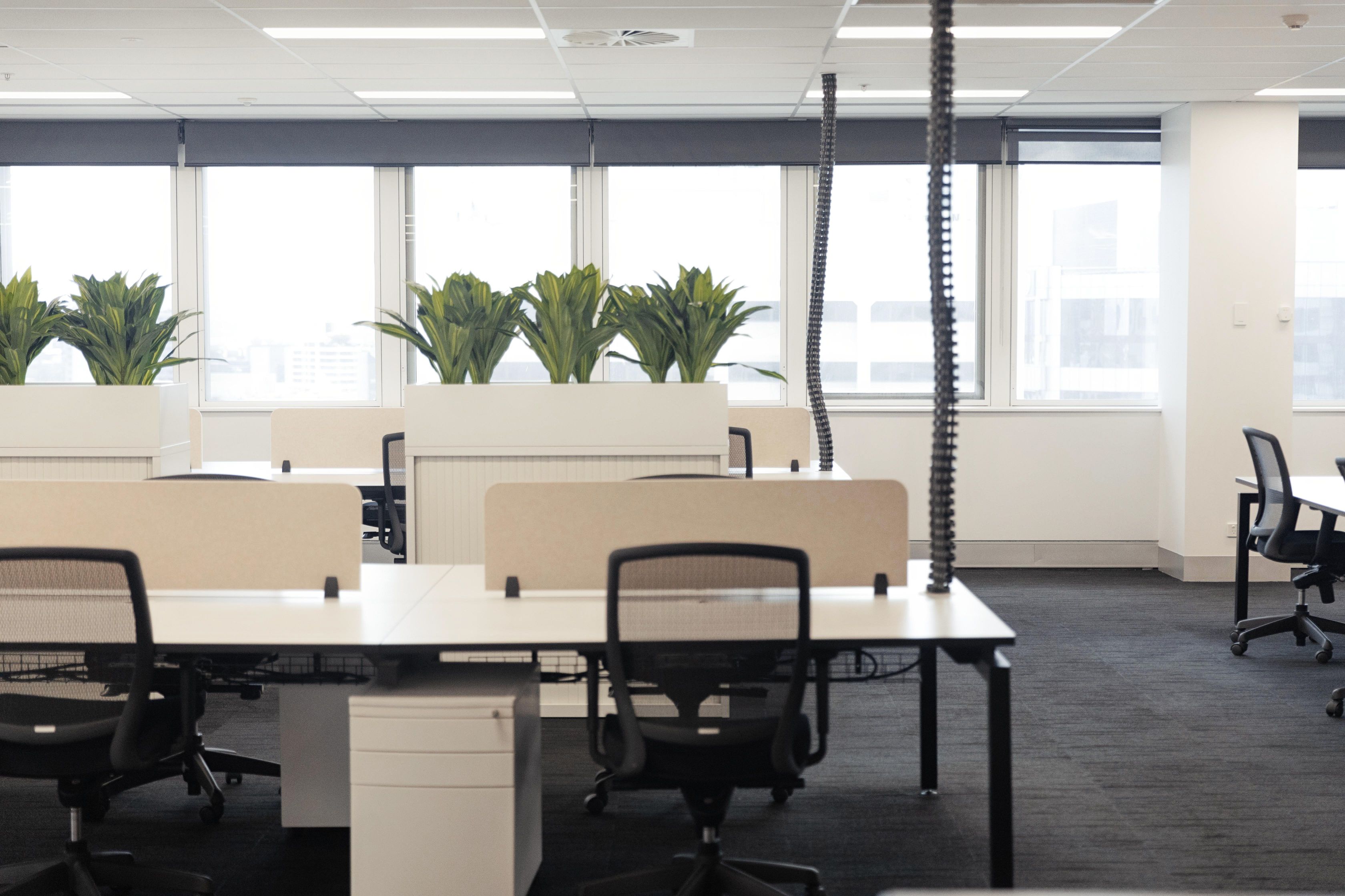 Warm Shell vs. Cold Shell Office Spaces